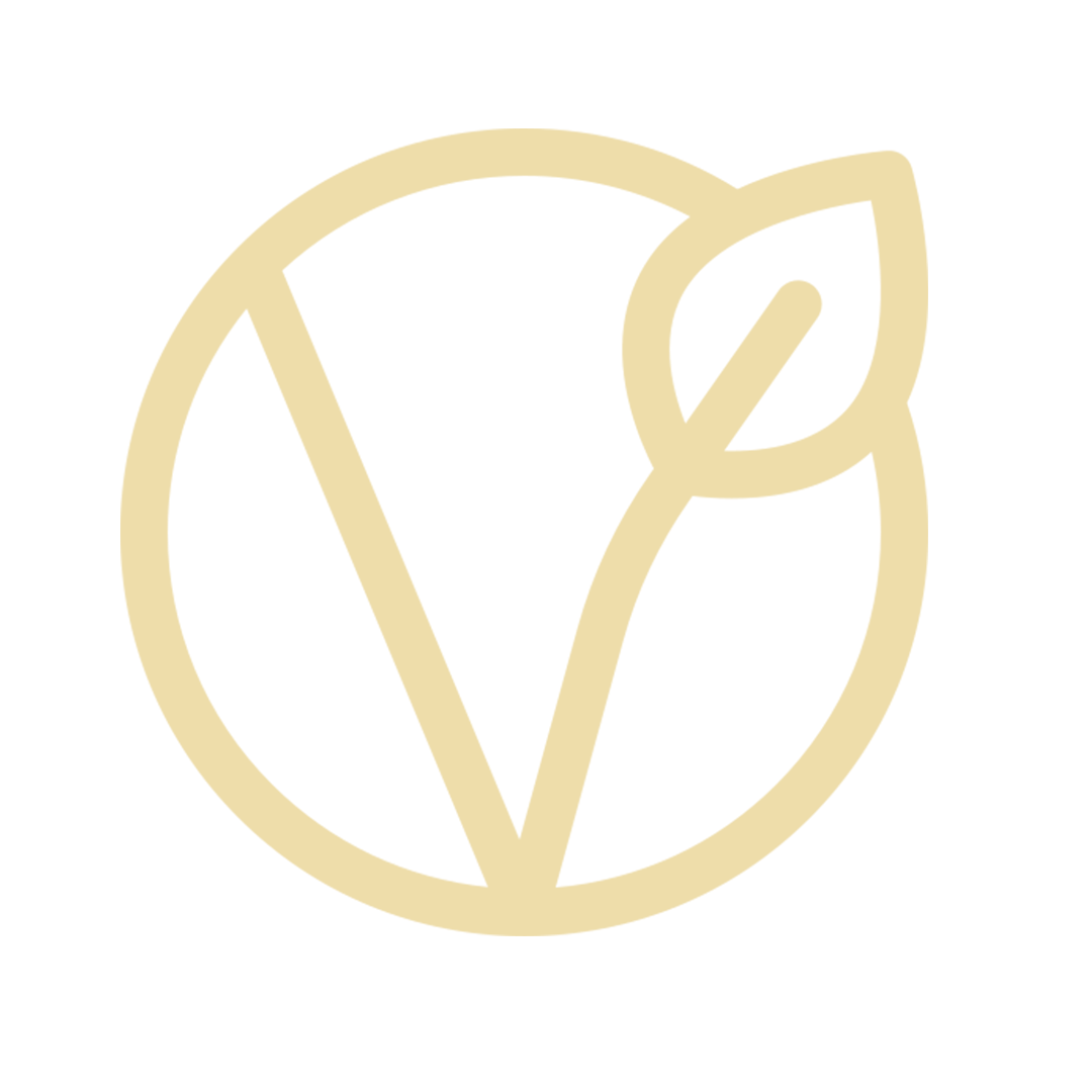 Wholesale Teeth Whitening Supplies – Fern Whitening Supplies